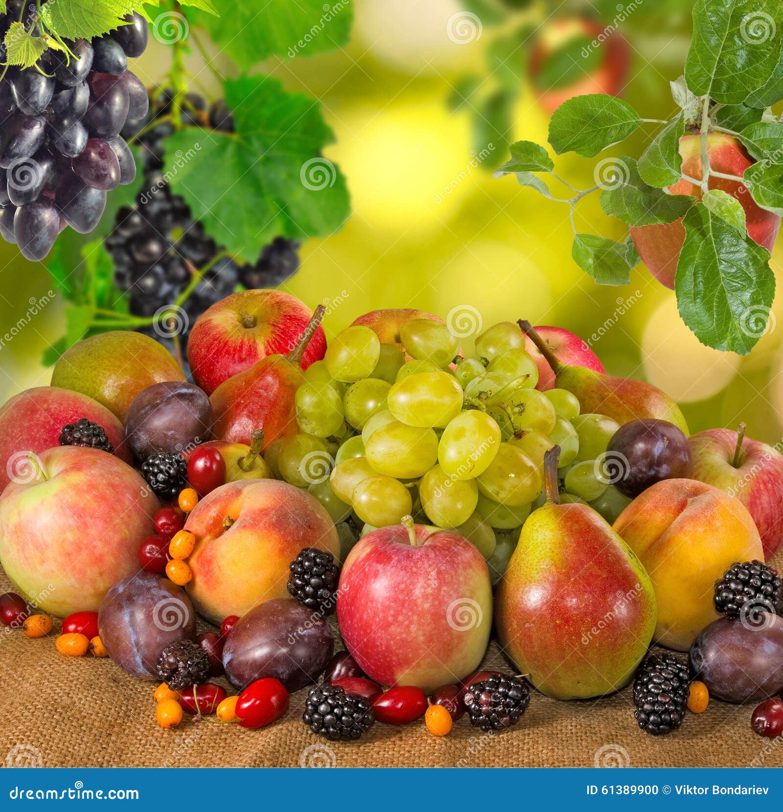 Image of Fruits and Berries Stock Photo - Image of buckthorn ...
