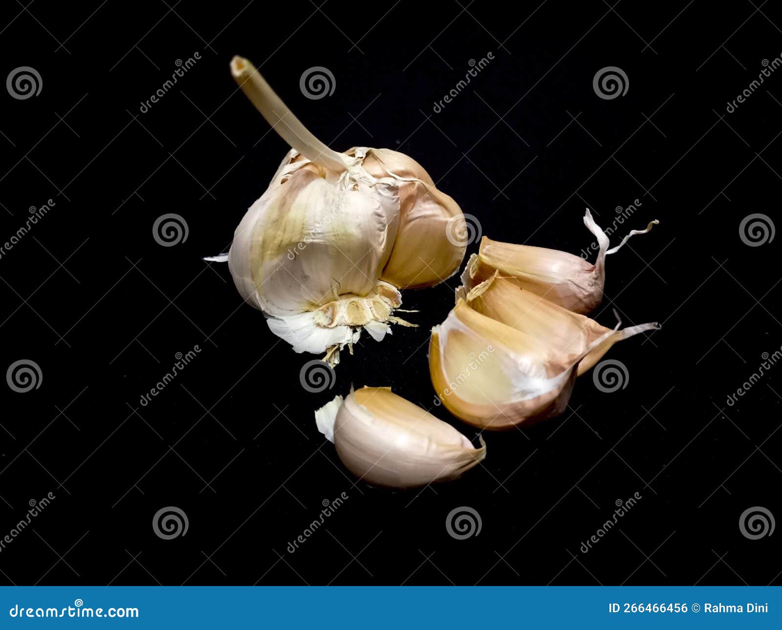 Image of Garlic Covered in Papery Skin Stock Photo - Image of covered ...