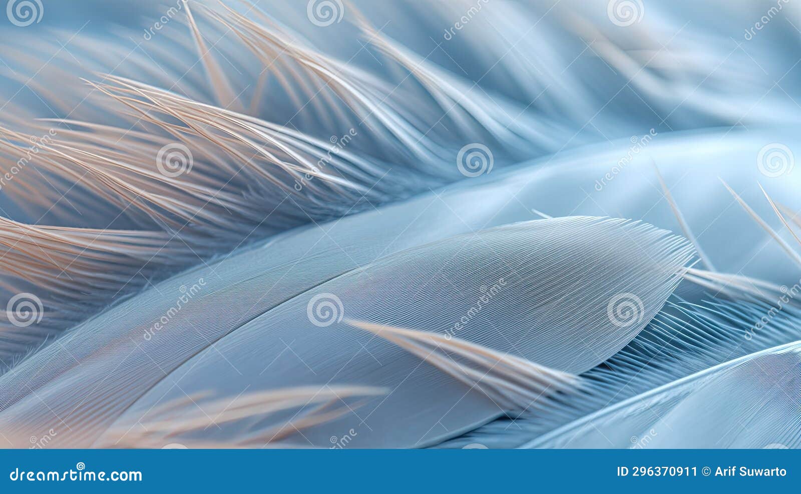 Delicate Feather in Peaceful Flight Over Blue Water Stock Illustration ...