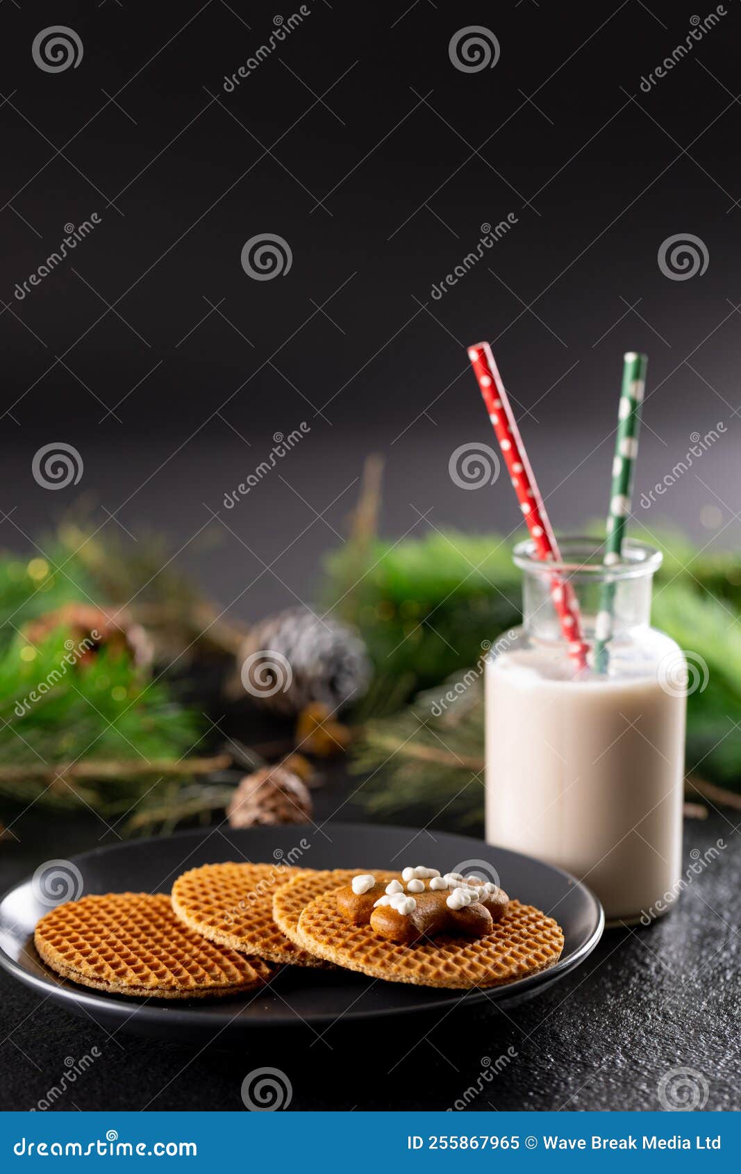 Image of Glass of Milk and Biscuits with Christmas Decorations and Copy ...