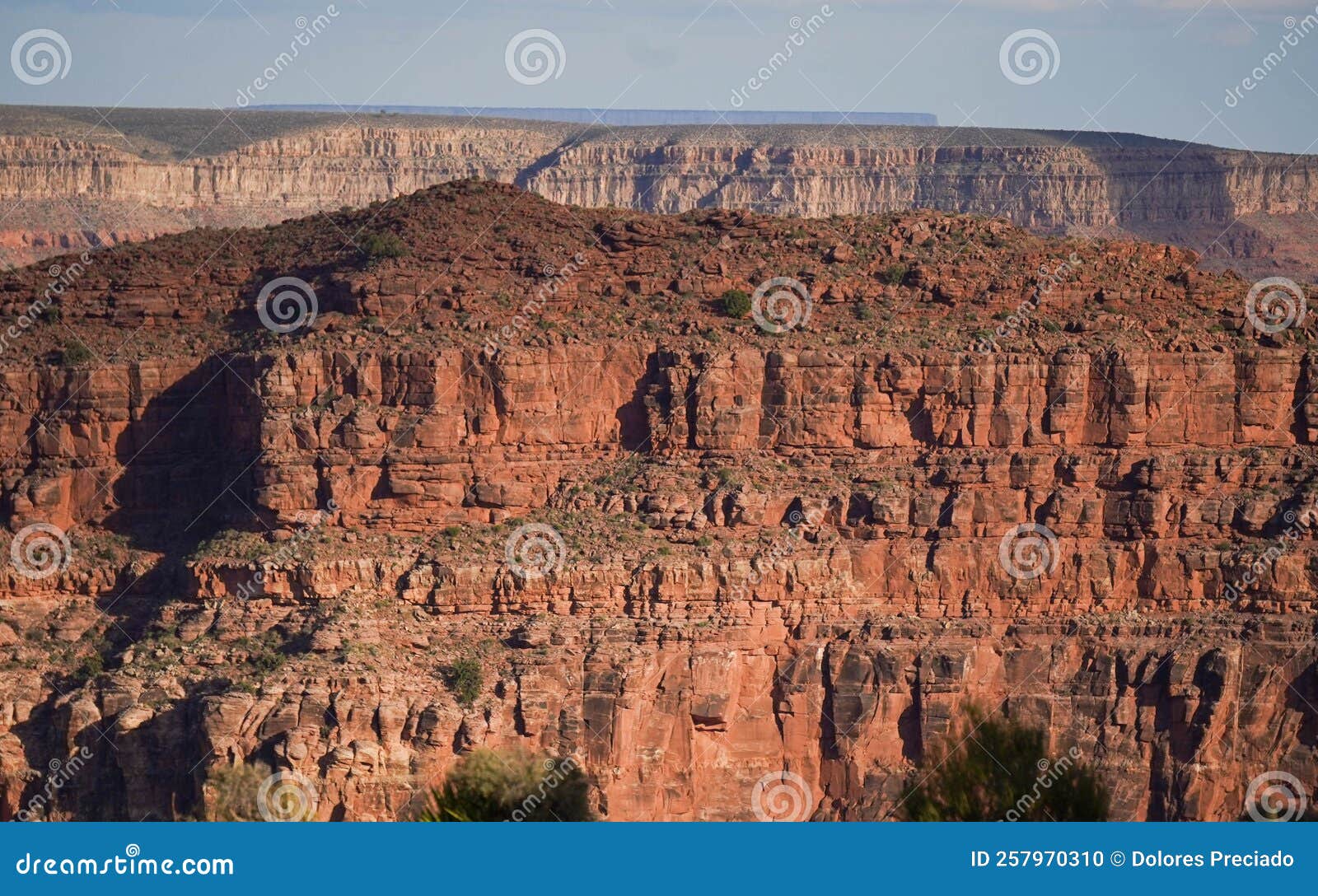 Image of the Grand Canyon of the Colorado in the State of Arizona Stock ...