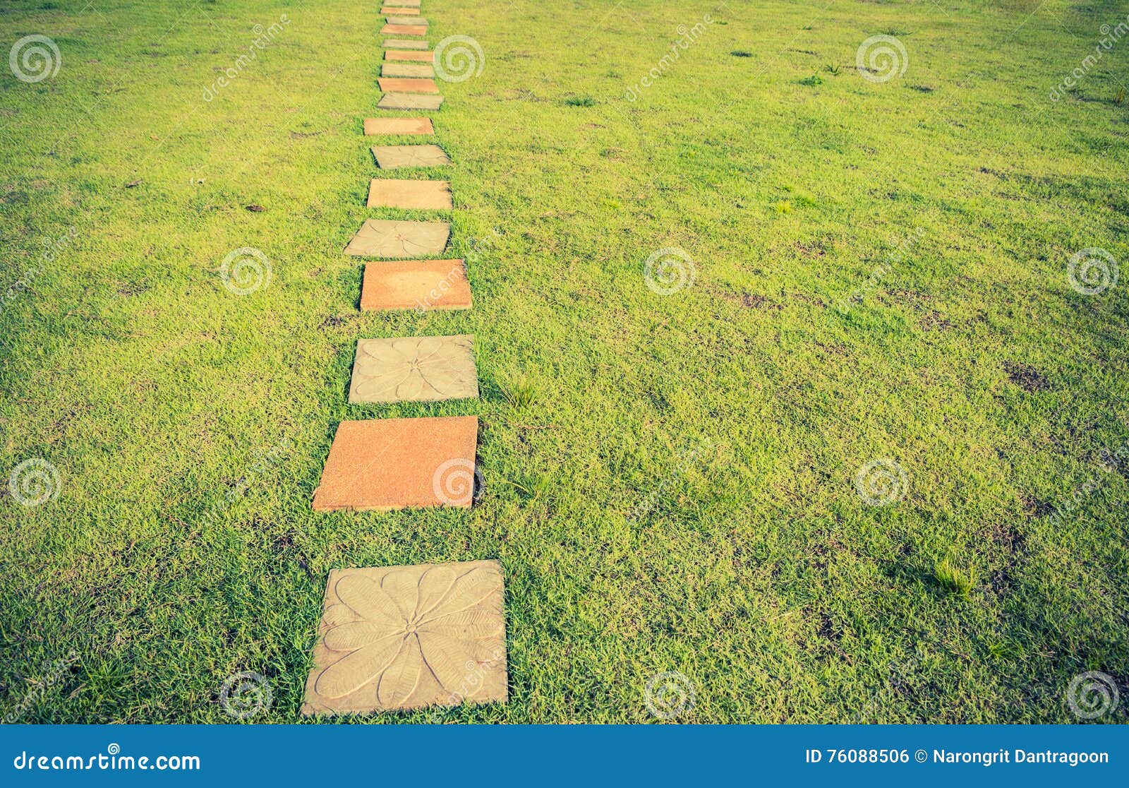 Image of Grass Field and Pathway. Stock Photo - Image of bright, green ...