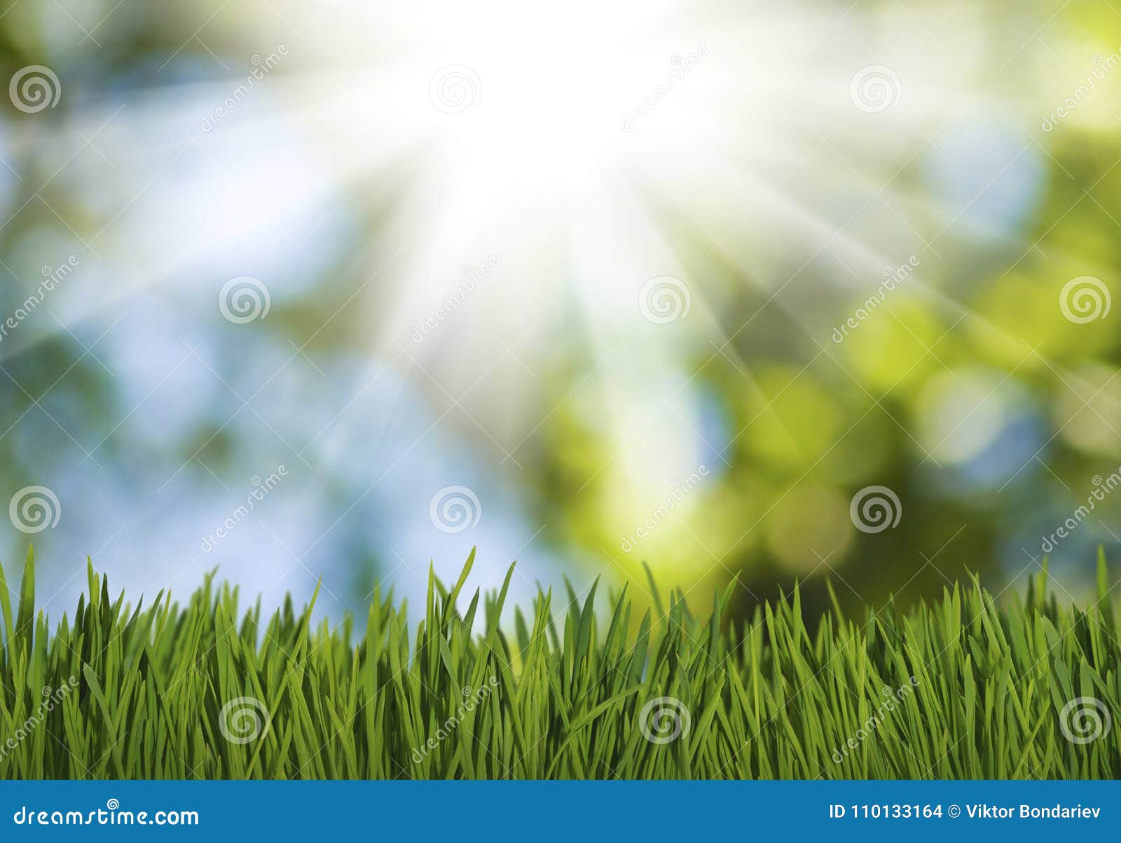 Image of Grass in the Park on Green Background Closeup Stock Photo ...