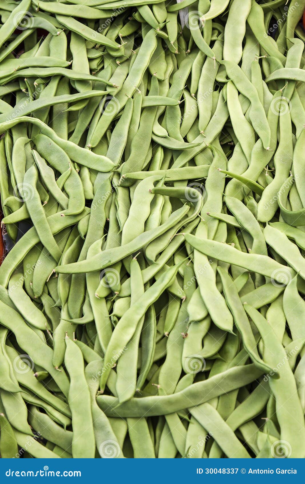 Background of green beans stock image. Image of background - 30048337