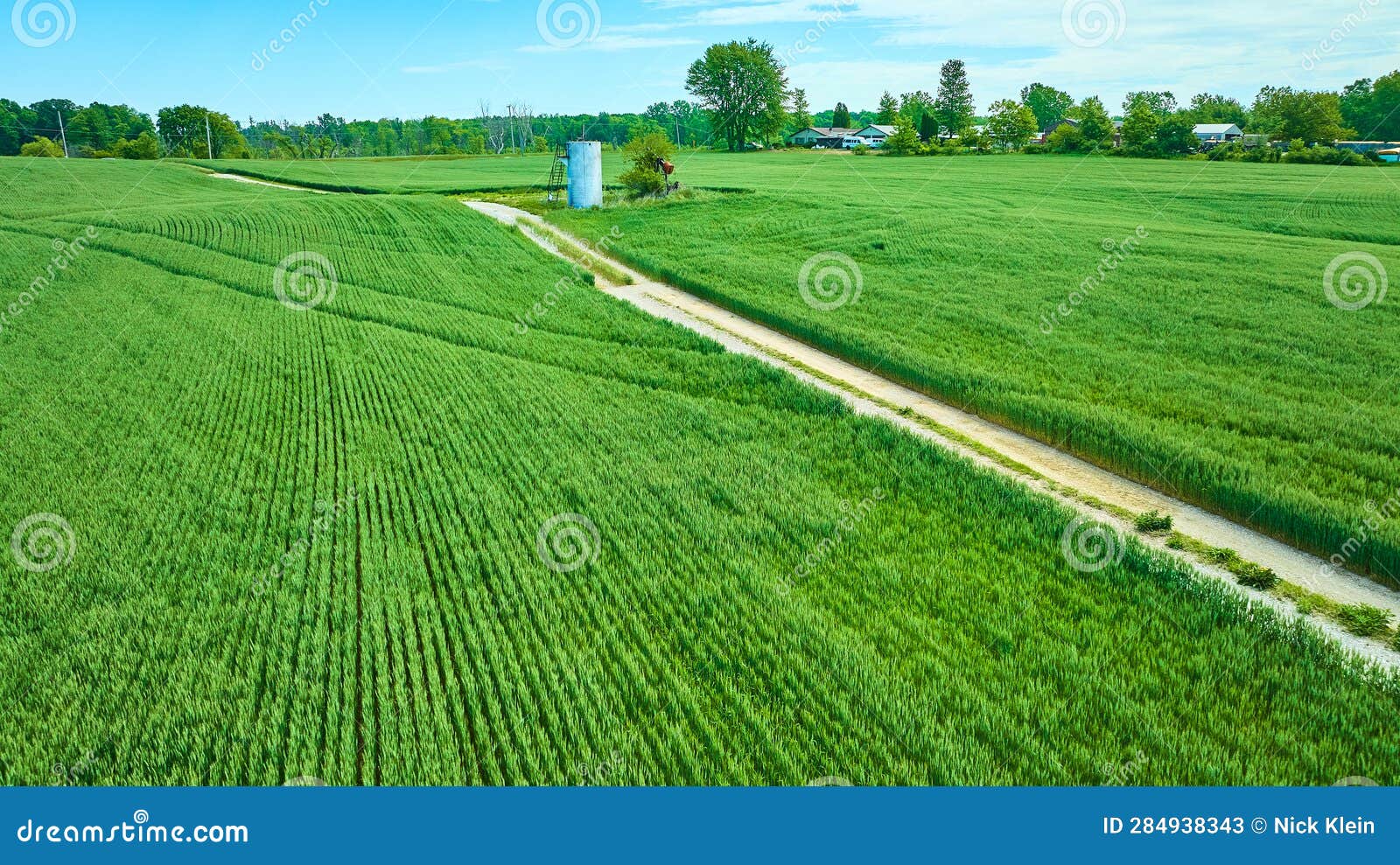 Green Fields of Grains with Maintenance Path Cutting through the Middle ...
