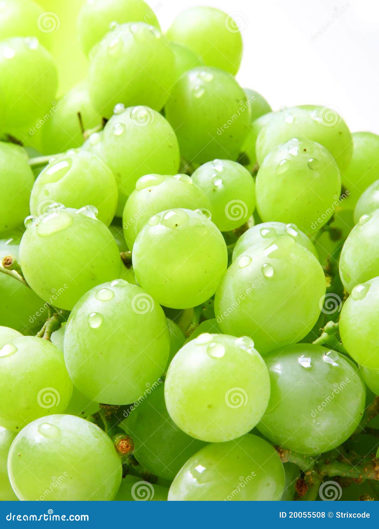Image of Green Grape Background Stock Photo - Image of botanical, grow ...