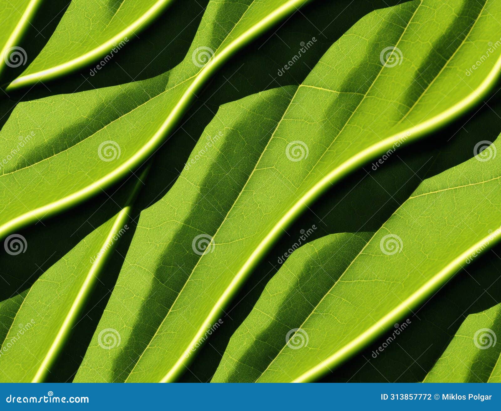 A Green Leaf with Wavy Edges. - Seamless and Tileable Stock Photo ...