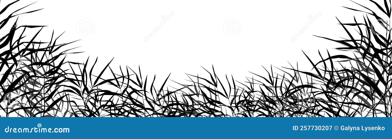 Image of a Green Reed or Bulrush on a White Background.Isolated Vector ...
