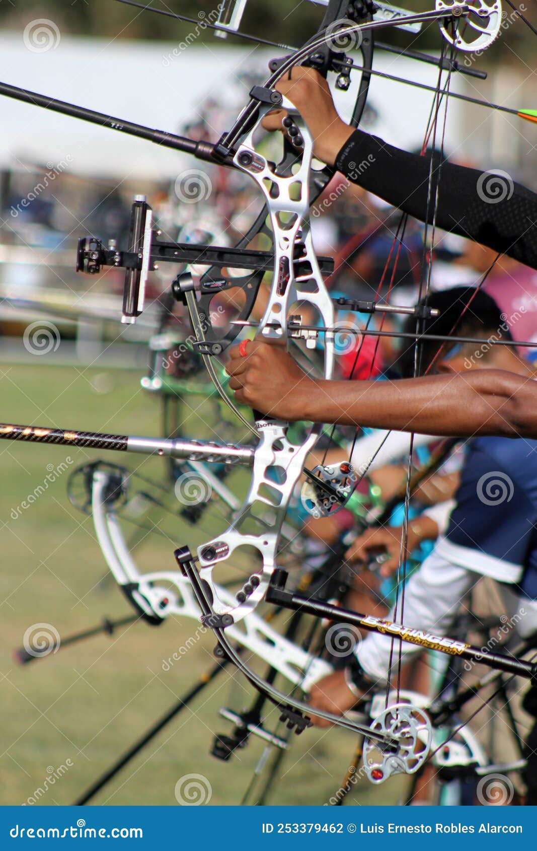 Group of Archers in Full Understanding of Archery Stock Photo - Image ...
