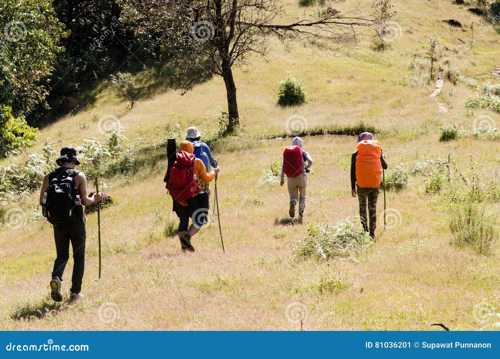 Image Group of Mountaineer Walking on Deep Forest Editorial Photo ...