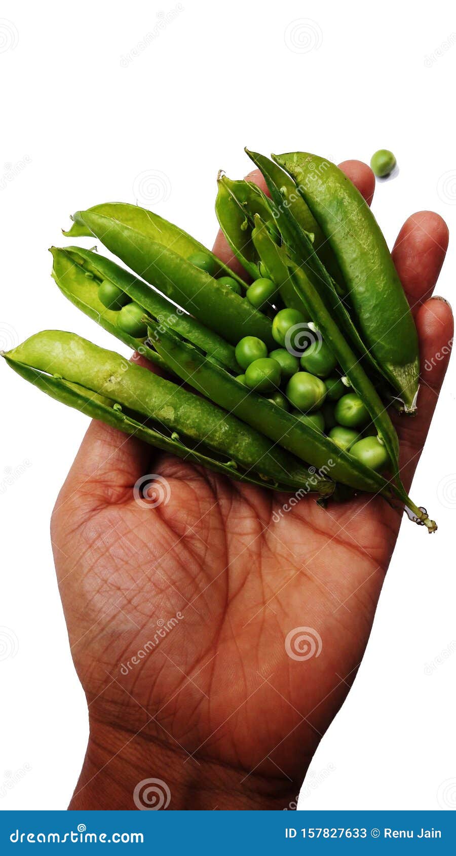 Image of Half Pealed Green Pea in Hand on White Background Stock Image ...