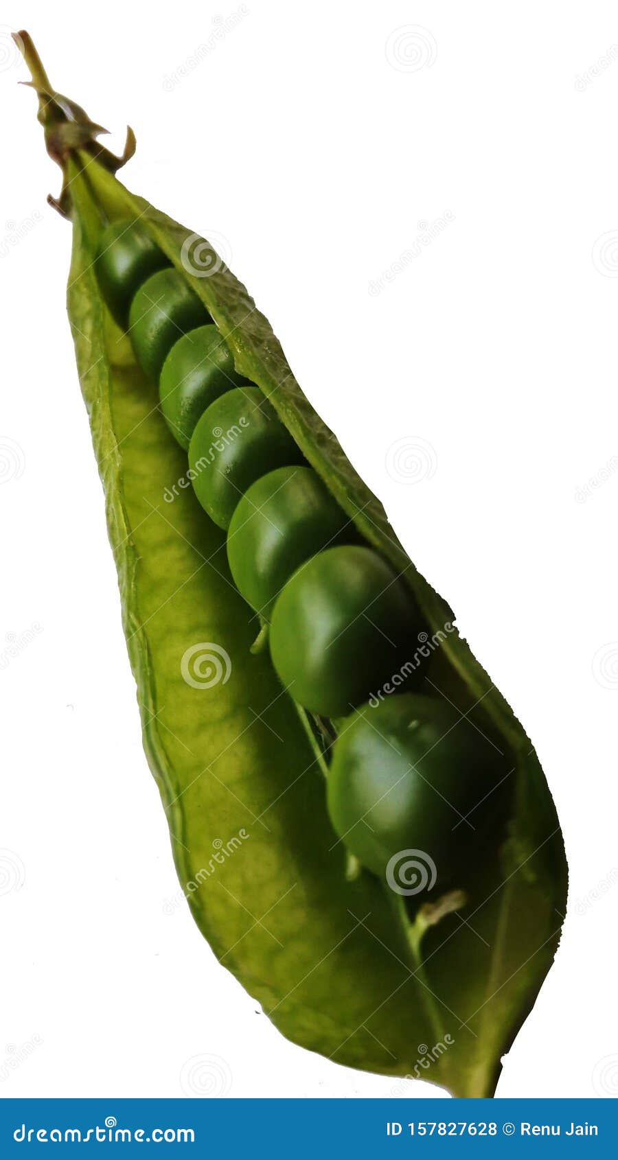 Image of Half Pealed Green Pea on White Background Stock Photo - Image ...