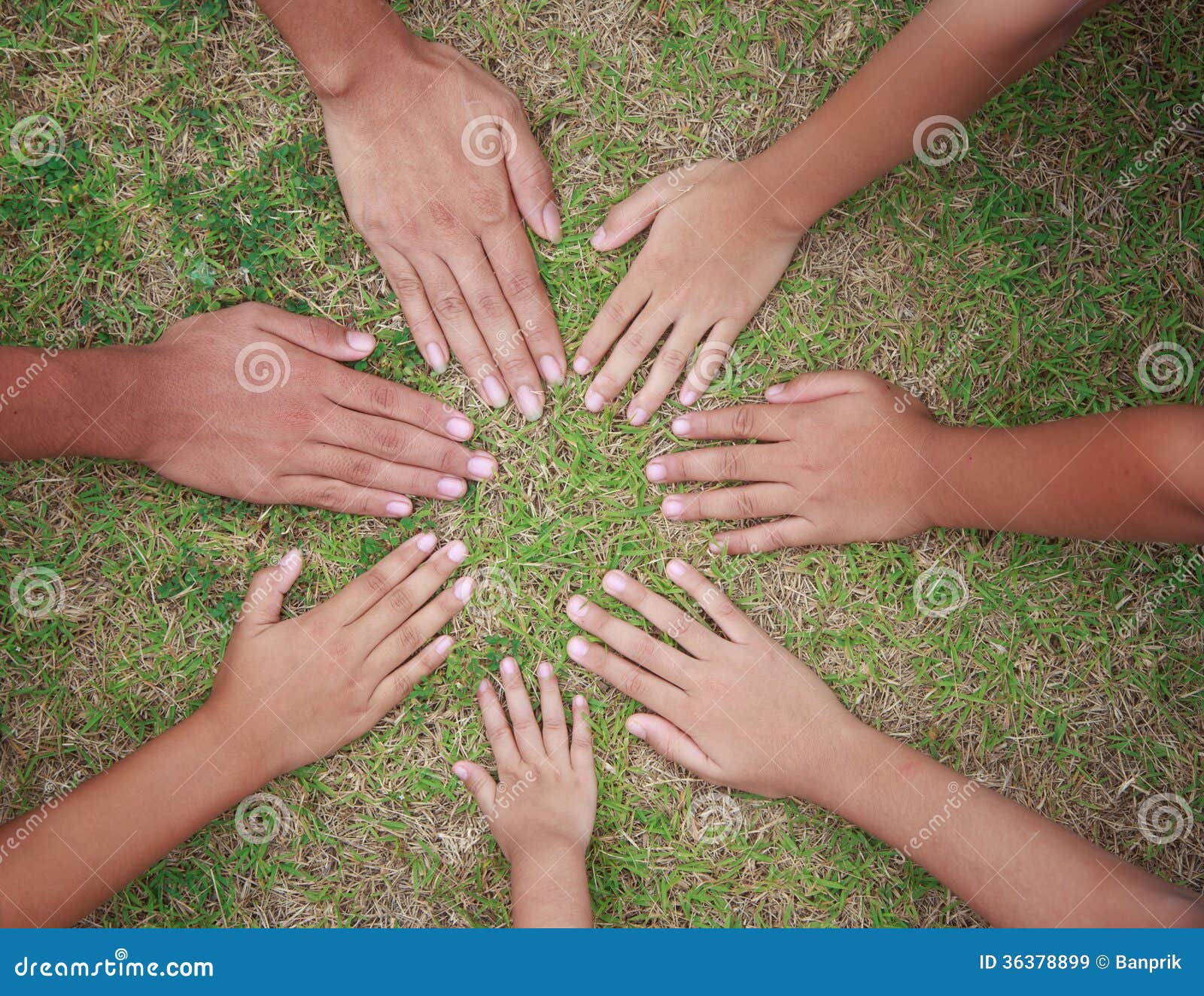 Image of Hand on Grass As Circle Form Stock Image - Image of hands ...