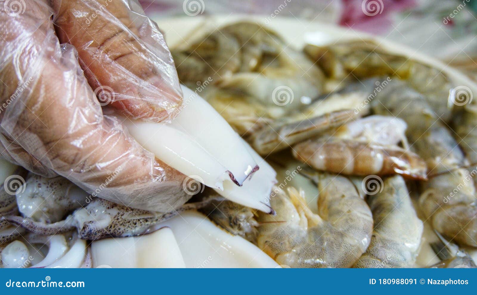 Image of squids in a plate stock image. Image of marine - 180988091