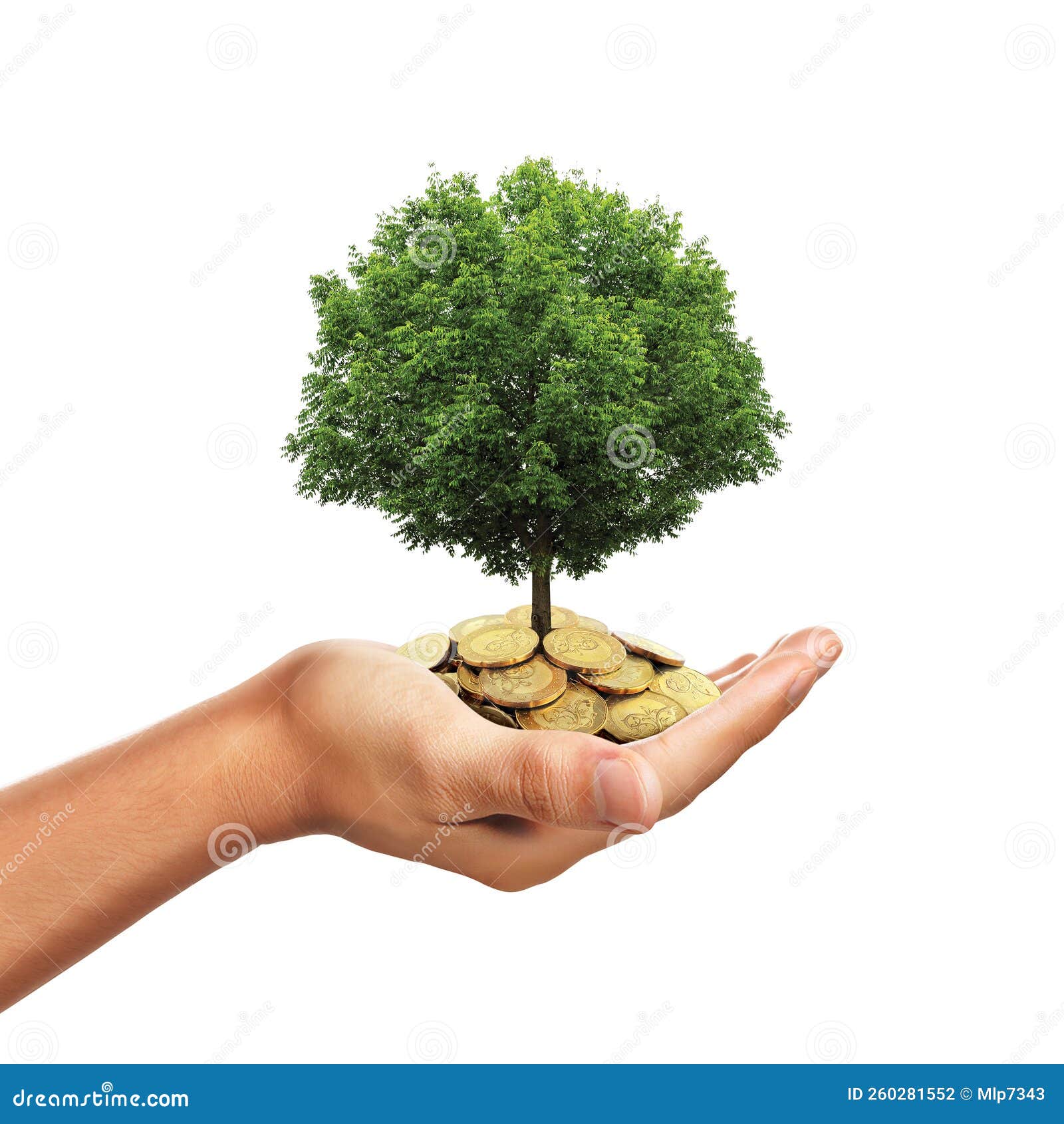 Hand Holding Stack of Golden Coins with Tree Growing Stock Photo ...