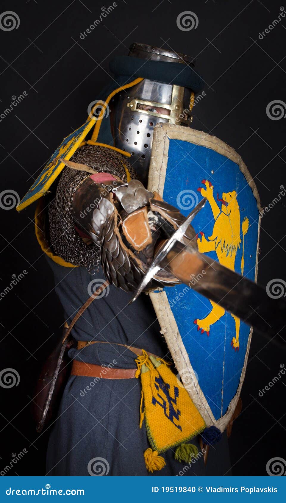 Image of heavy knight stock photo. Image of lion, male - 19519840