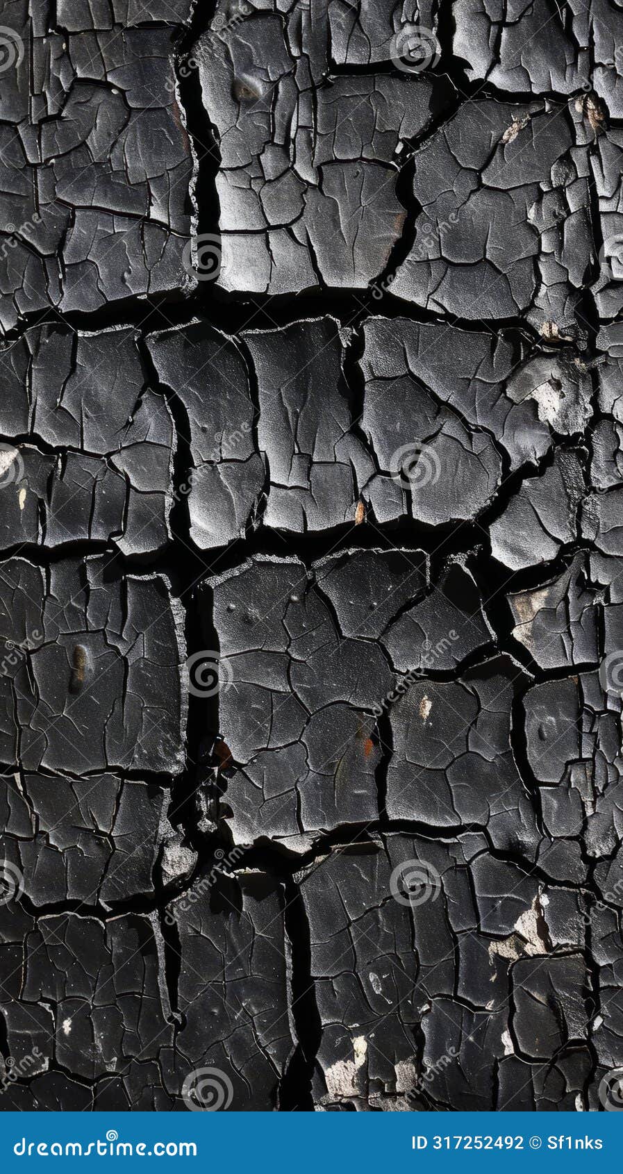 This Image Highlights a Dark Textured Surface Marred by a Dense Network ...