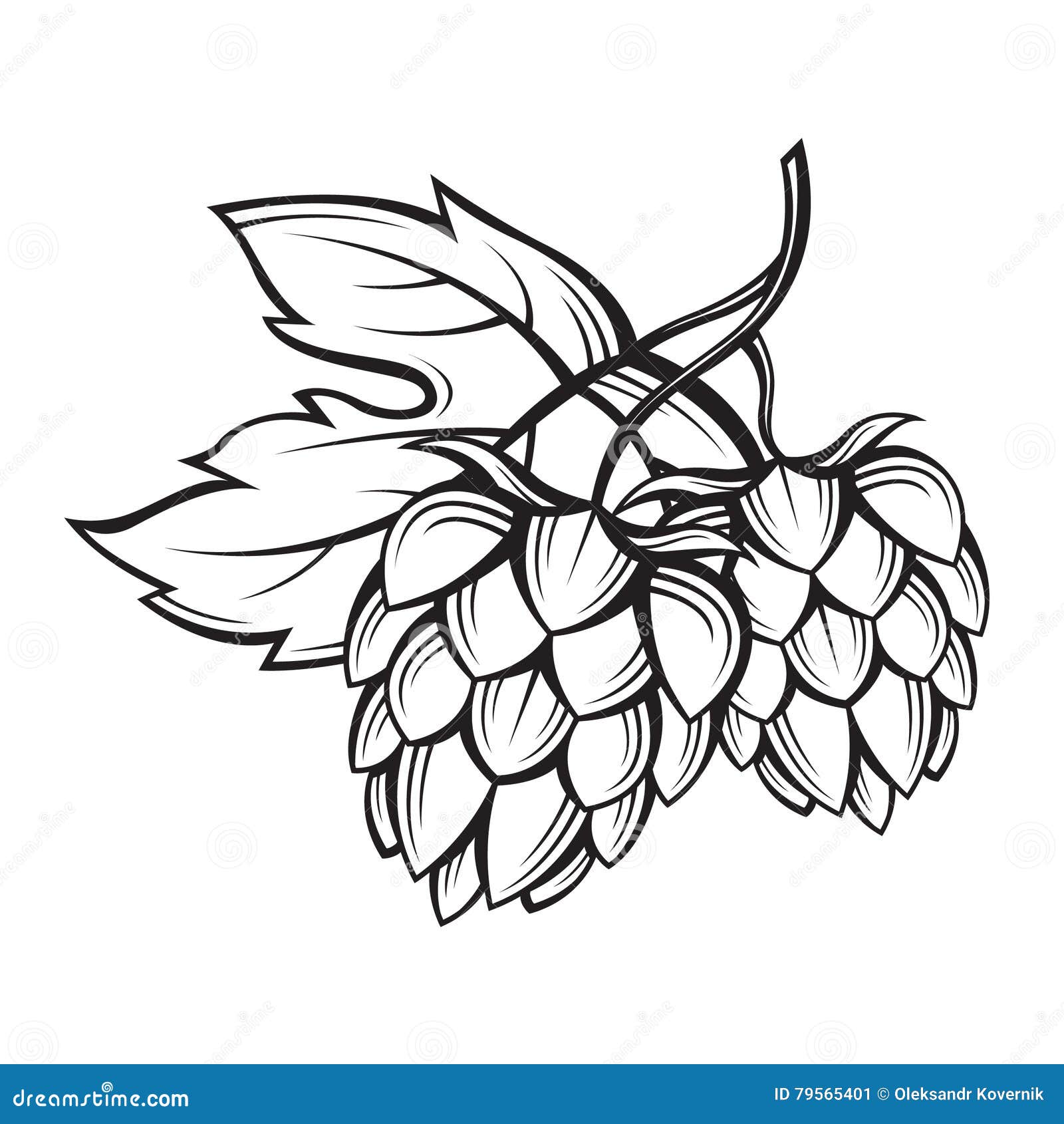 Hops Cartoons, Illustrations & Vector Stock Images - 24432 Pictures to ...