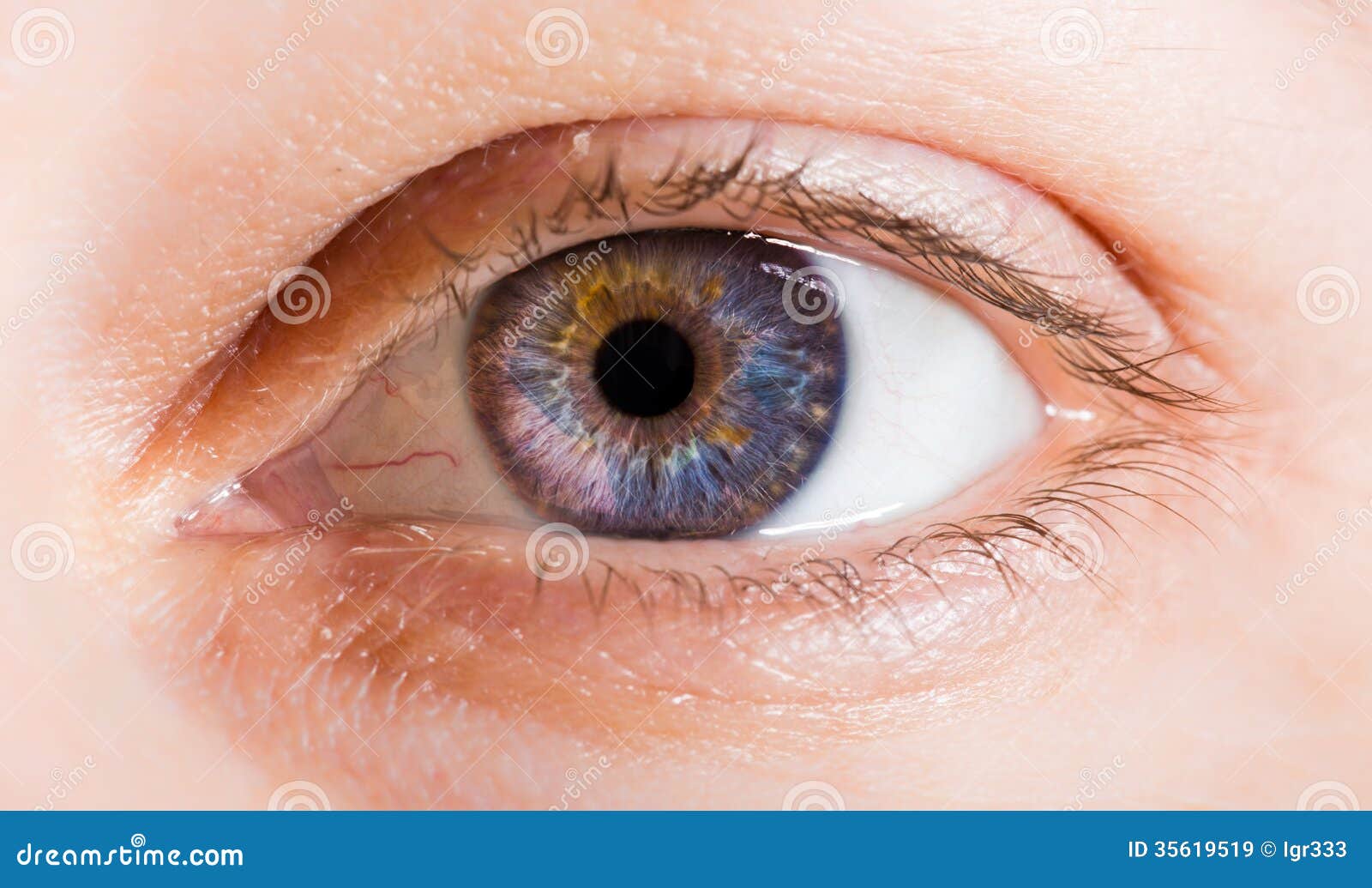 Image of human eye stock image. Image of model, looking - 35619519