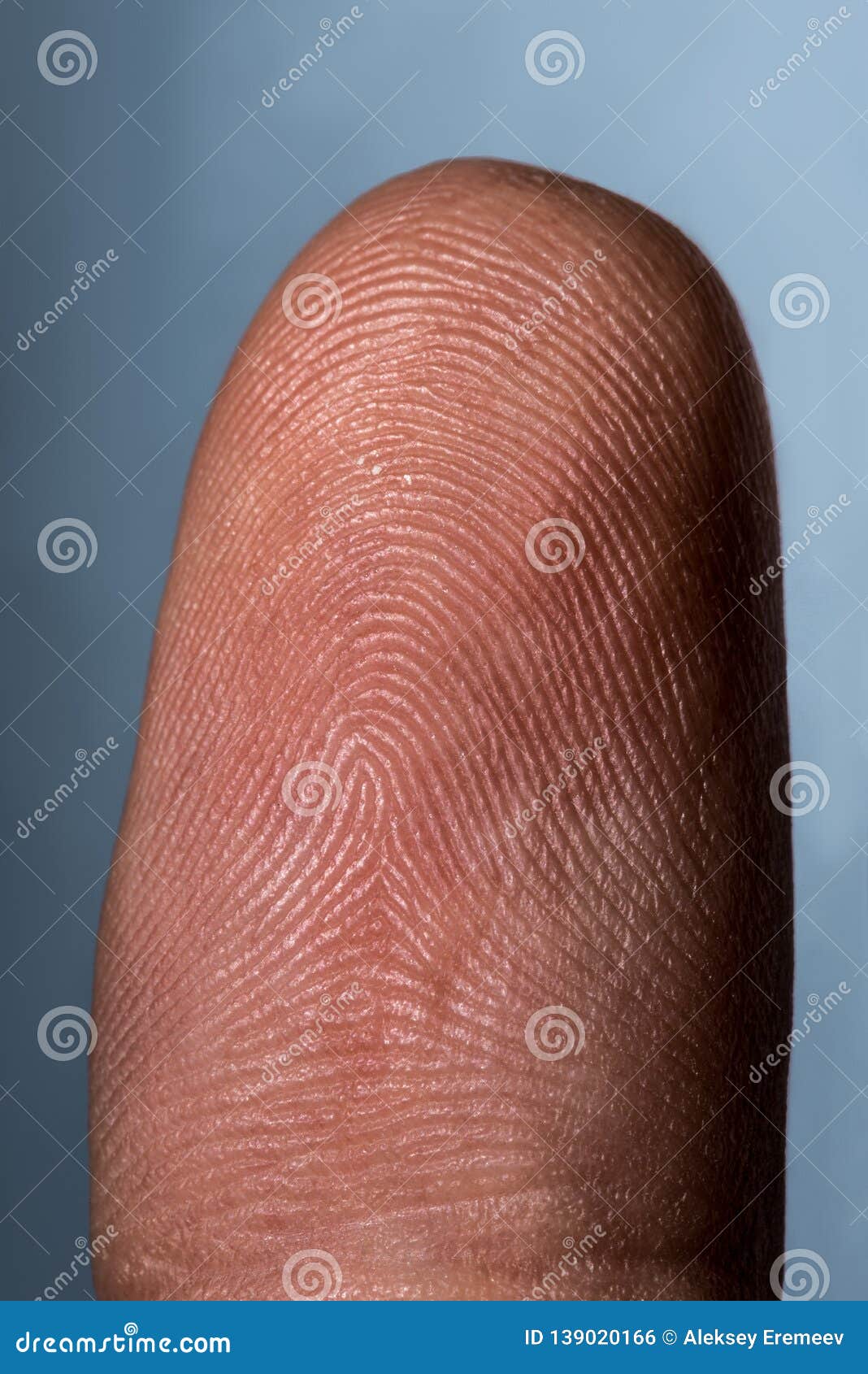 An Image of Human Finger Close Up Stock Photo - Image of outline ...