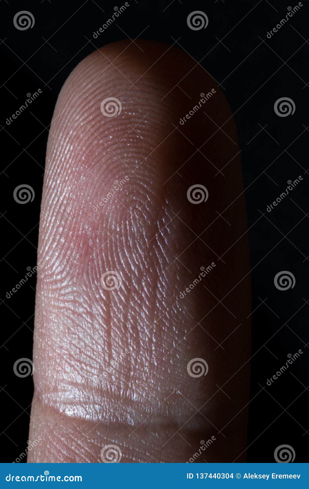 An Image of Human Finger Close Up Stock Photo - Image of business ...