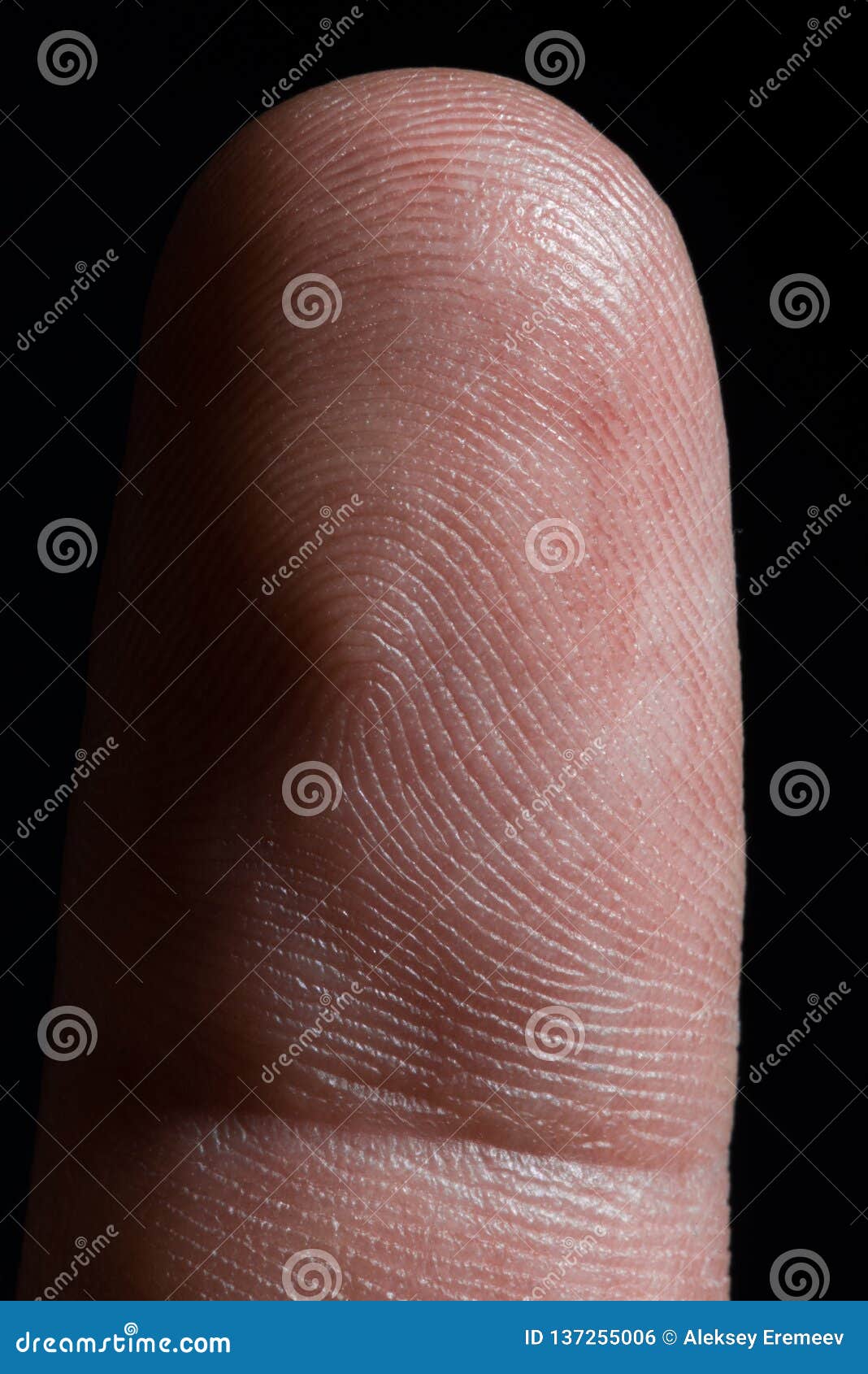An Image of Human Finger Close Up Stock Photo - Image of corporate ...
