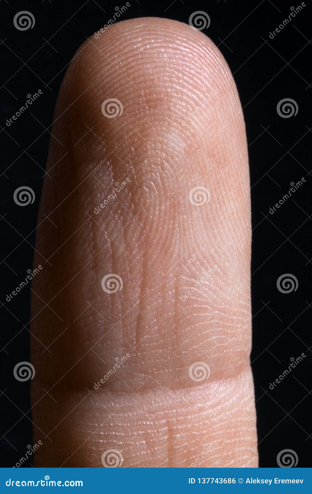 An Image of Human Finger Close Up Stock Photo - Image of hand, person ...