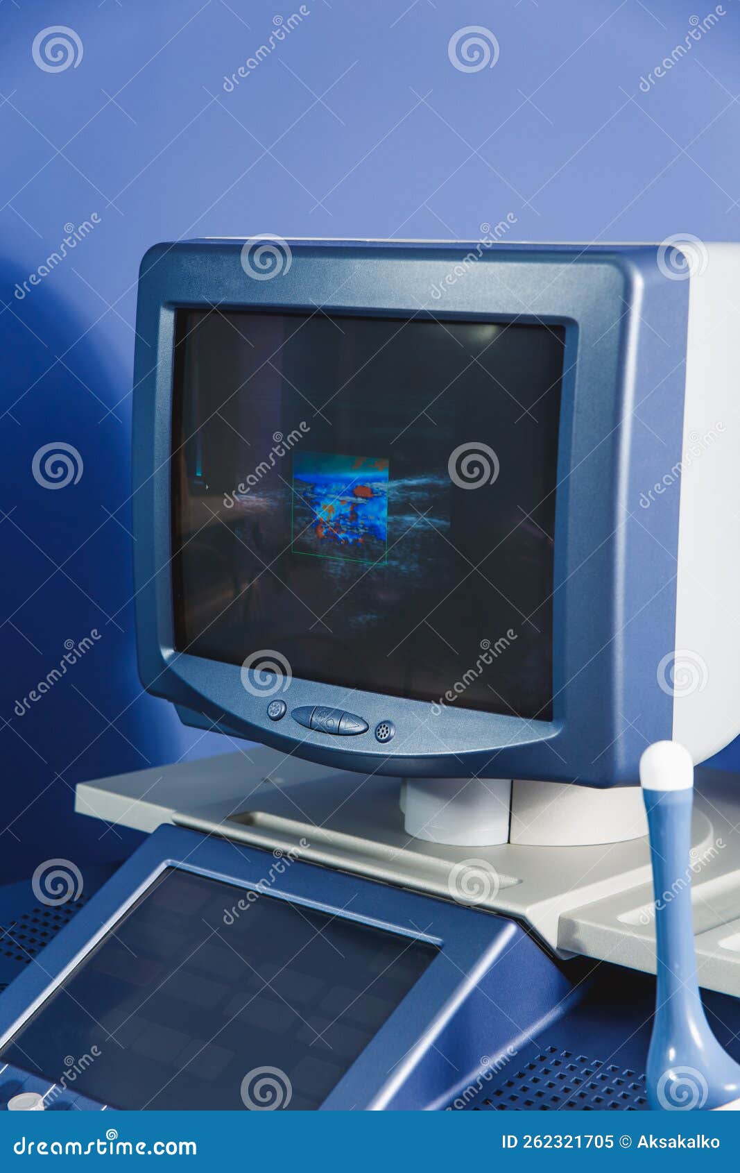 Image of Human Internal Organs on the Display of the Medical Ultrasound ...