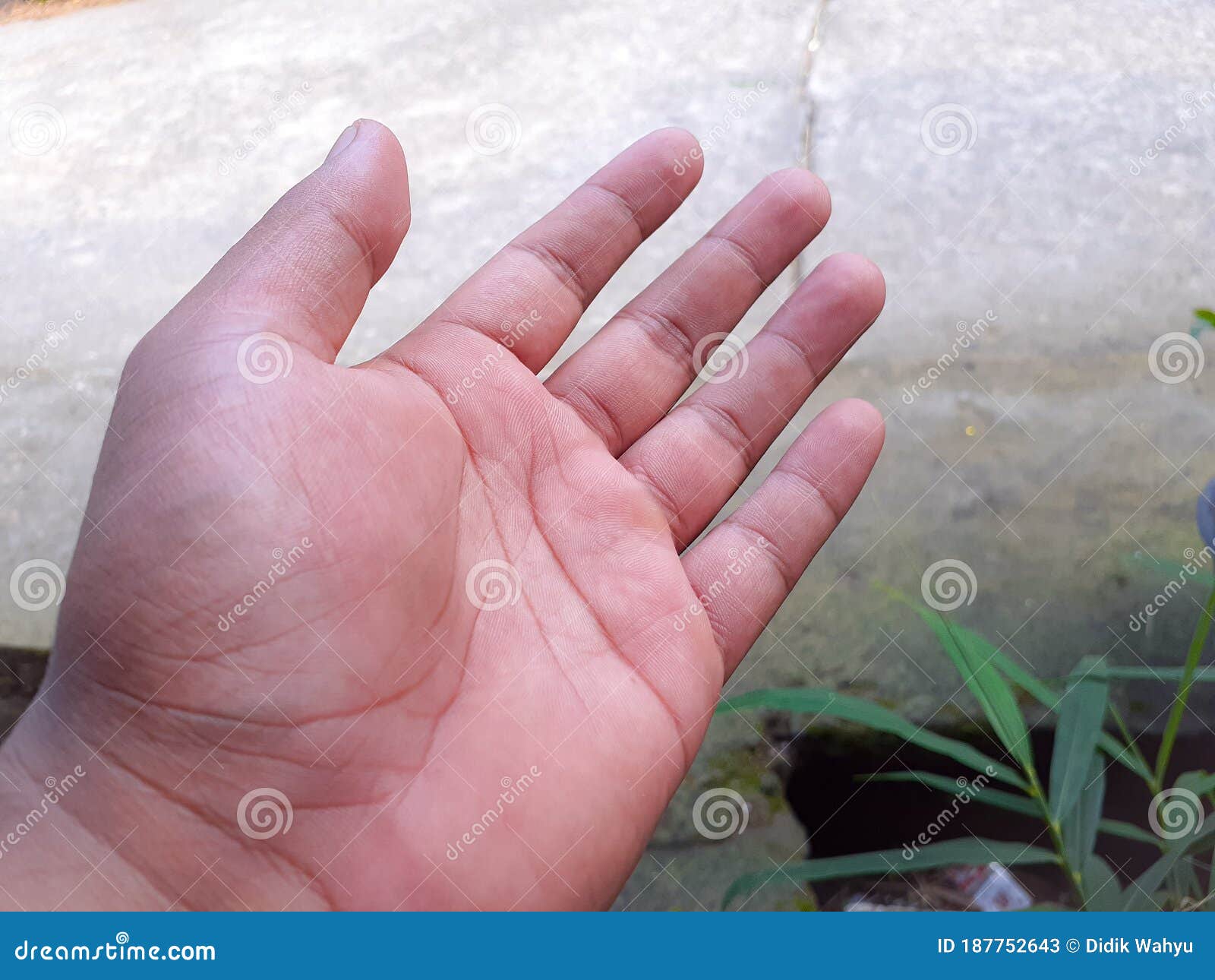 An image of a human palm stock image. Image of outerwear - 187752643