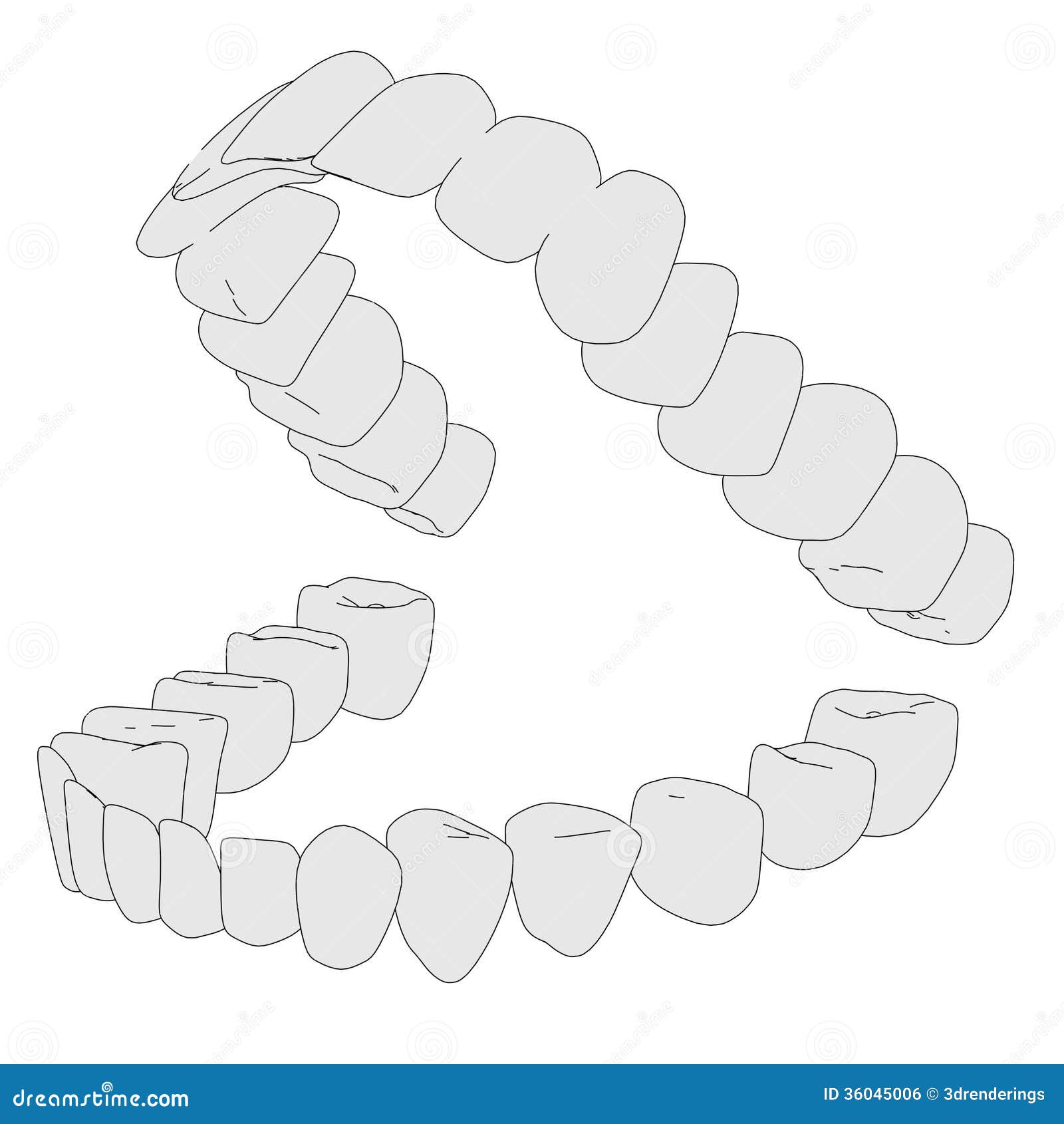 Image of human teeth stock illustration. Illustration of handdraw ...