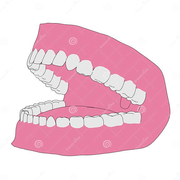Image of human teeth stock illustration. Illustration of fillings ...