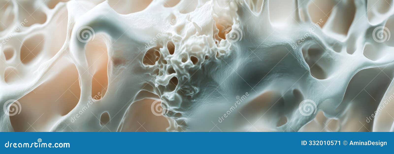 The Bone Resorption Process How Osteoclasts Function and Their Role in ...