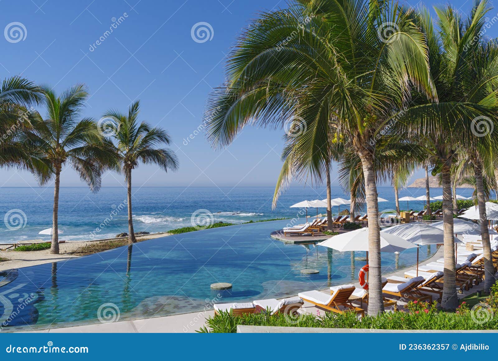 Luxury Hotel Infinity Pool stock image. Image of luxury - 236362357