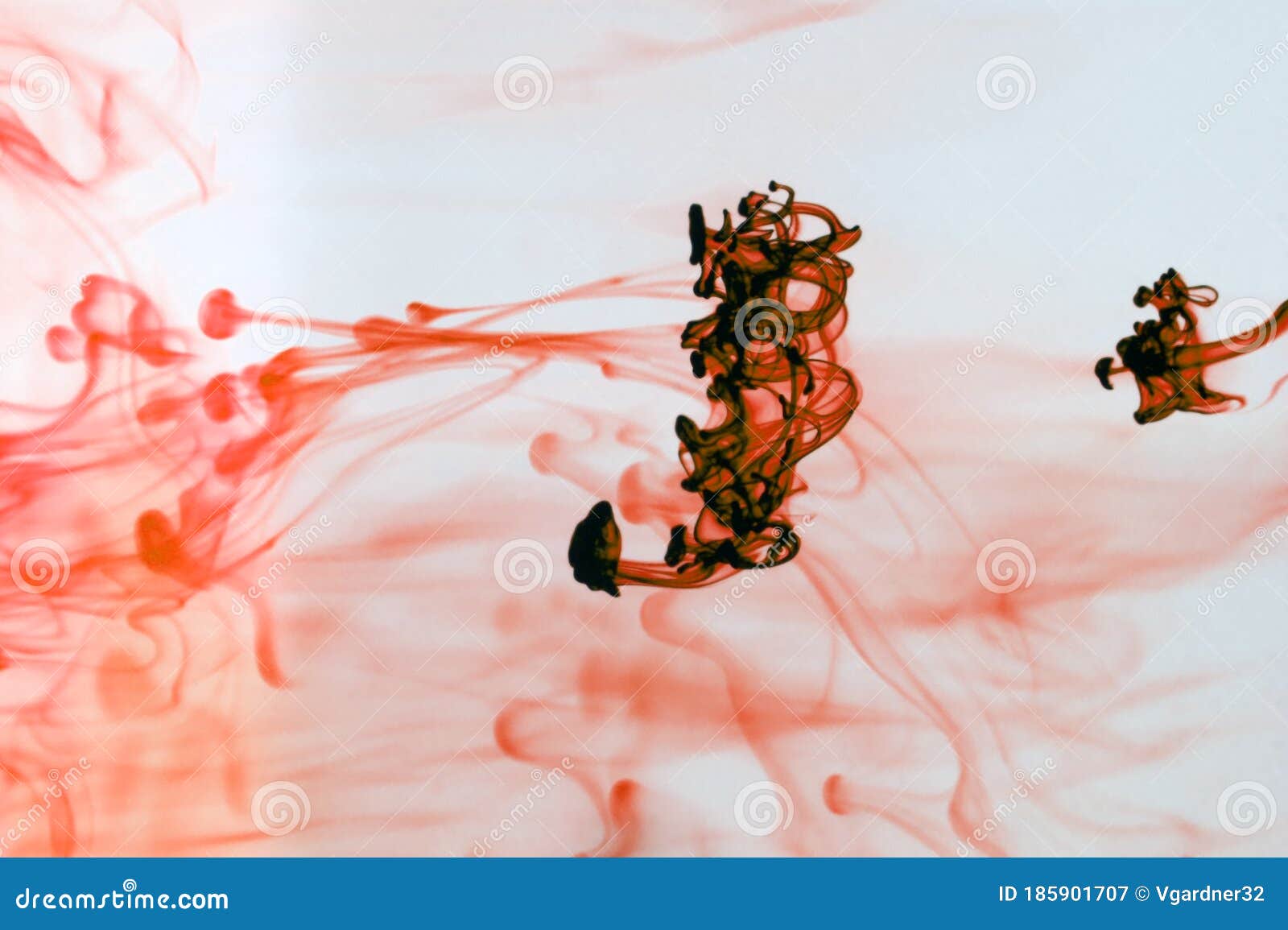 Ink droplets through water stock image. Image of droplets - 185901707