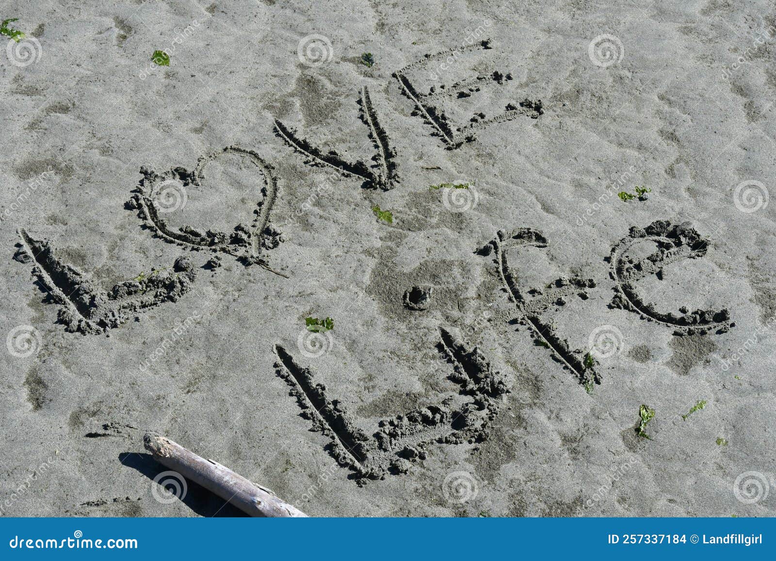Inspirational Message in Sand Stock Photo - Image of summer, nature ...
