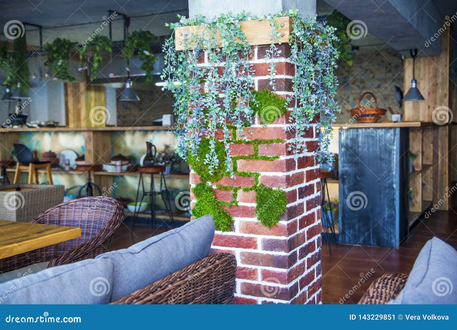 Image of Modern Interior Design Using Ornamental Moss Stock Image ...