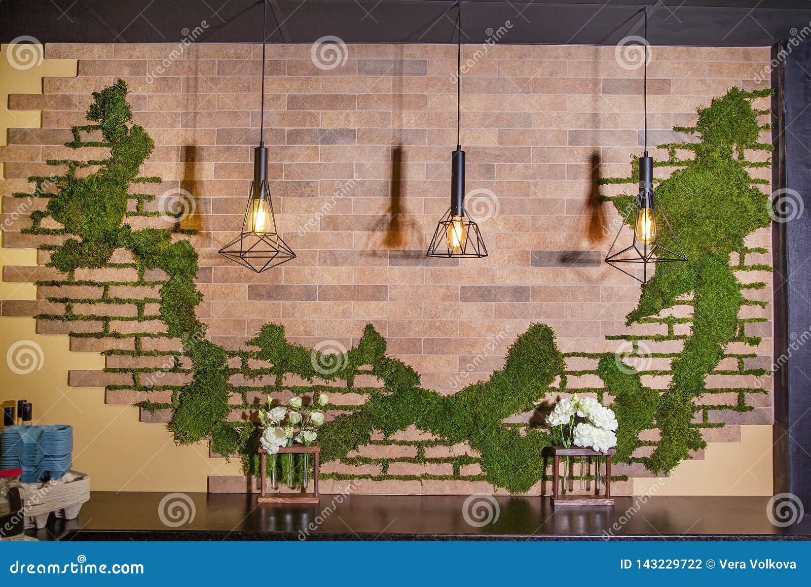 Photography of Modern Interior Design Using Ornamental Moss Stock Photo ...