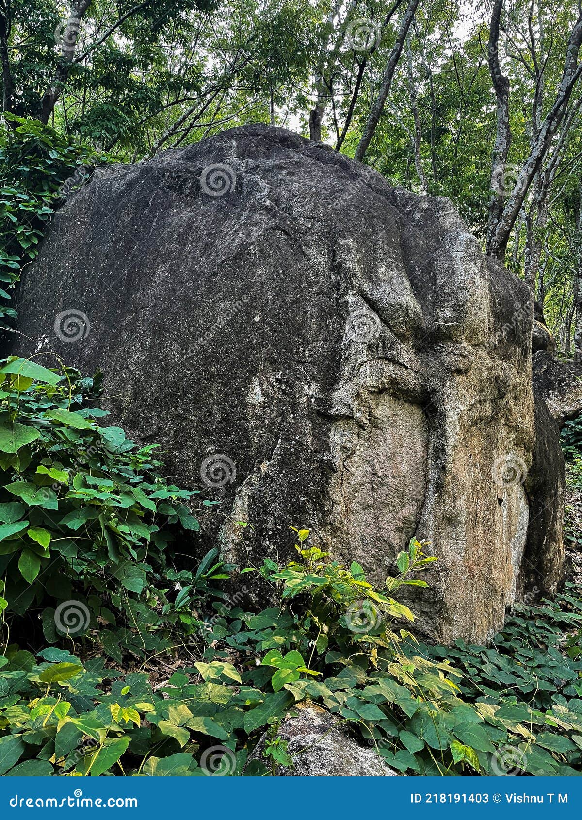 Image of a Isolated Big Rock on Hillside Stock Image - Image of ceiling ...