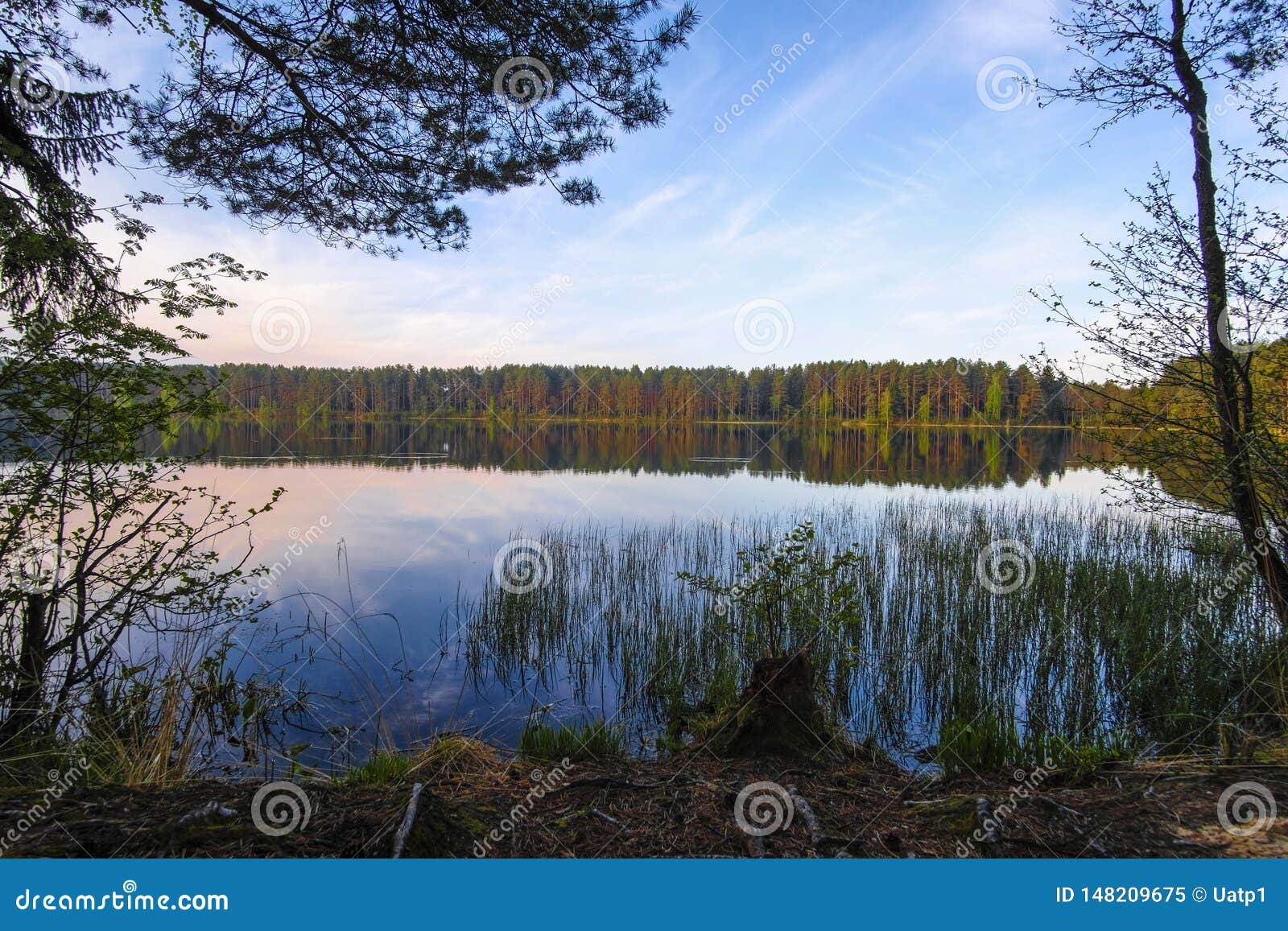 Image of Lake Seliger in Russia Stock Image - Image of pine, green ...