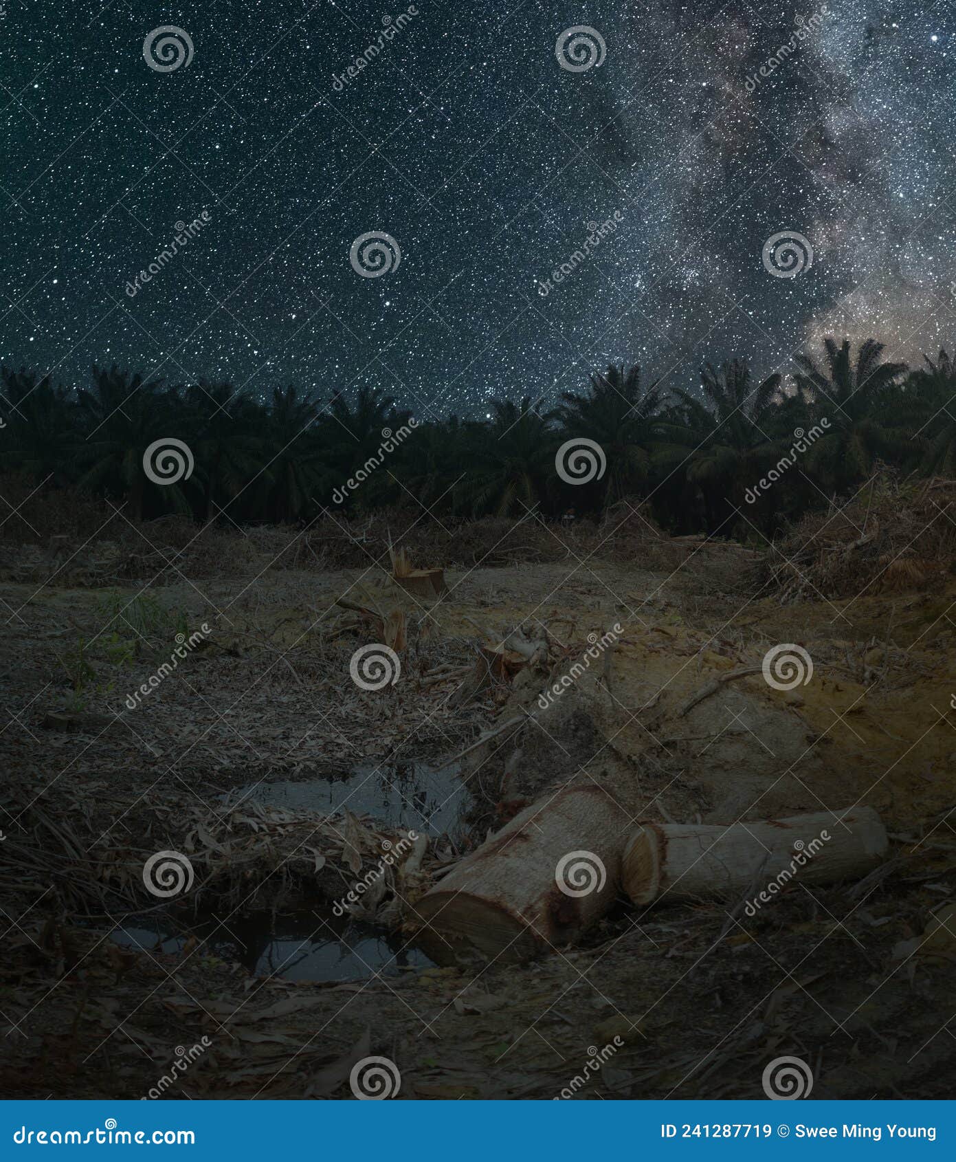 Late Night Scene at the Vacant Land Stock Image - Image of glowing ...