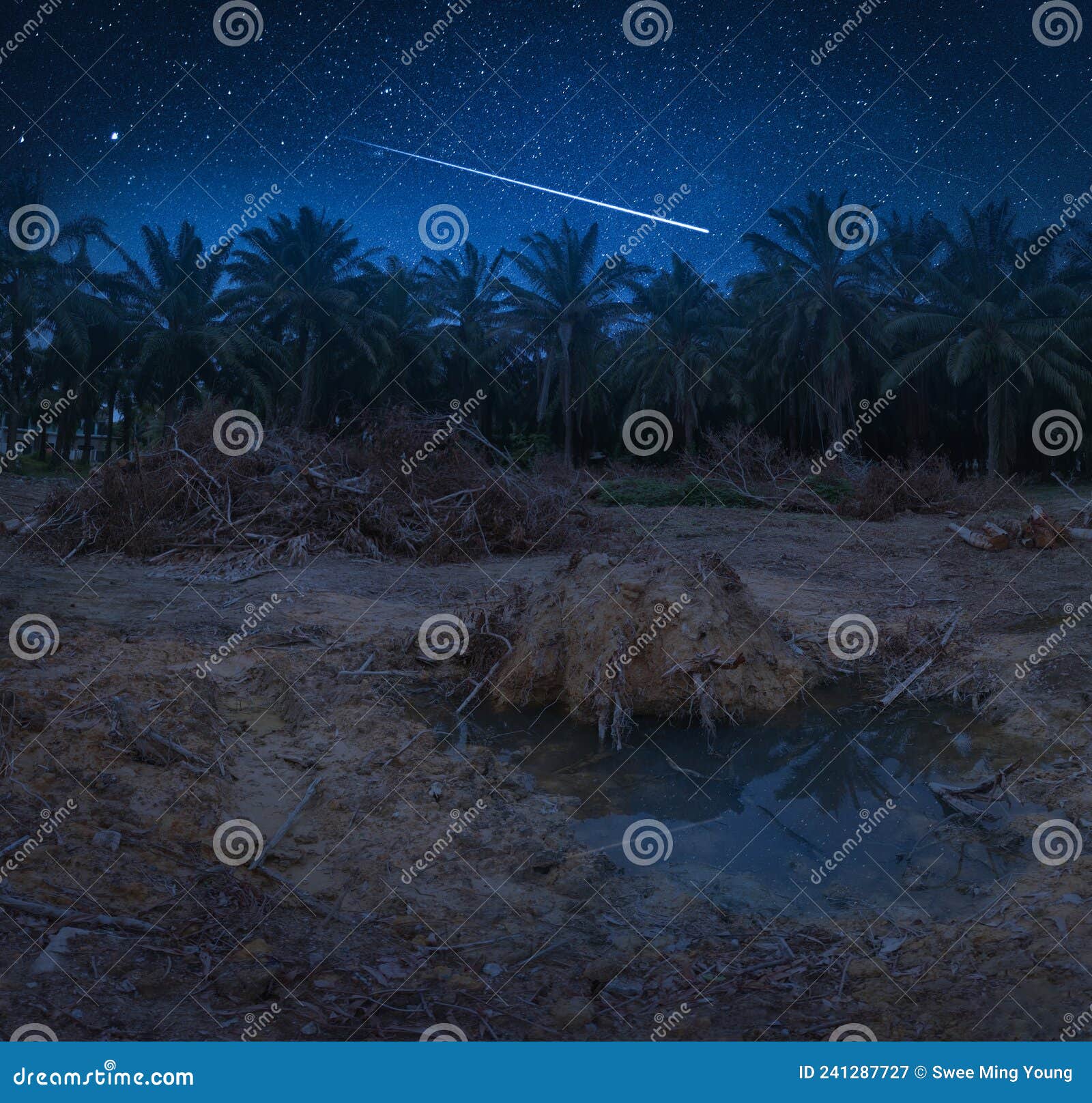 Late Night Scene at the Vacant Land Stock Image - Image of land, galaxy ...