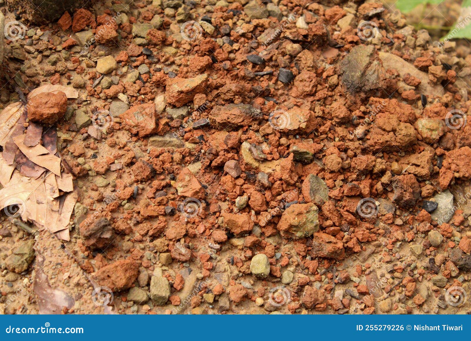 Laterite soil stock photo. Image of dust, earth, laterite - 255279226