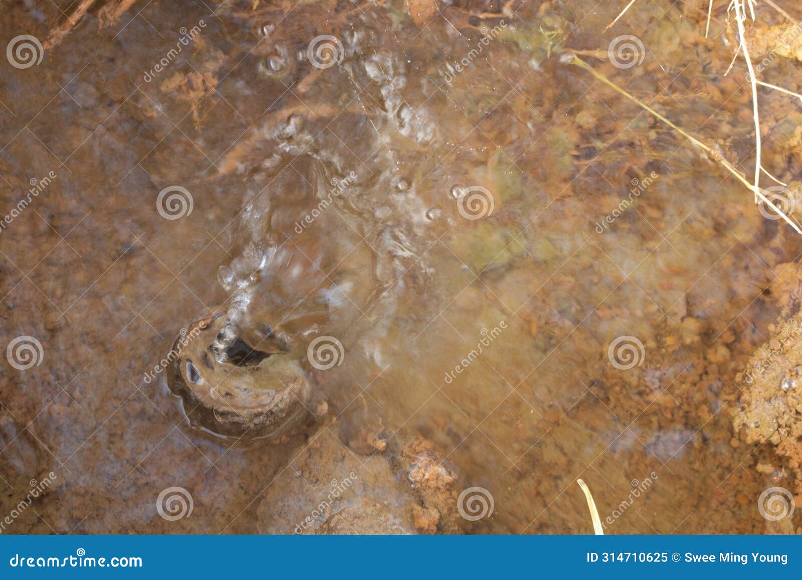 Image of Leakage Water from Broken and Rusty Pipe from the Ground ...
