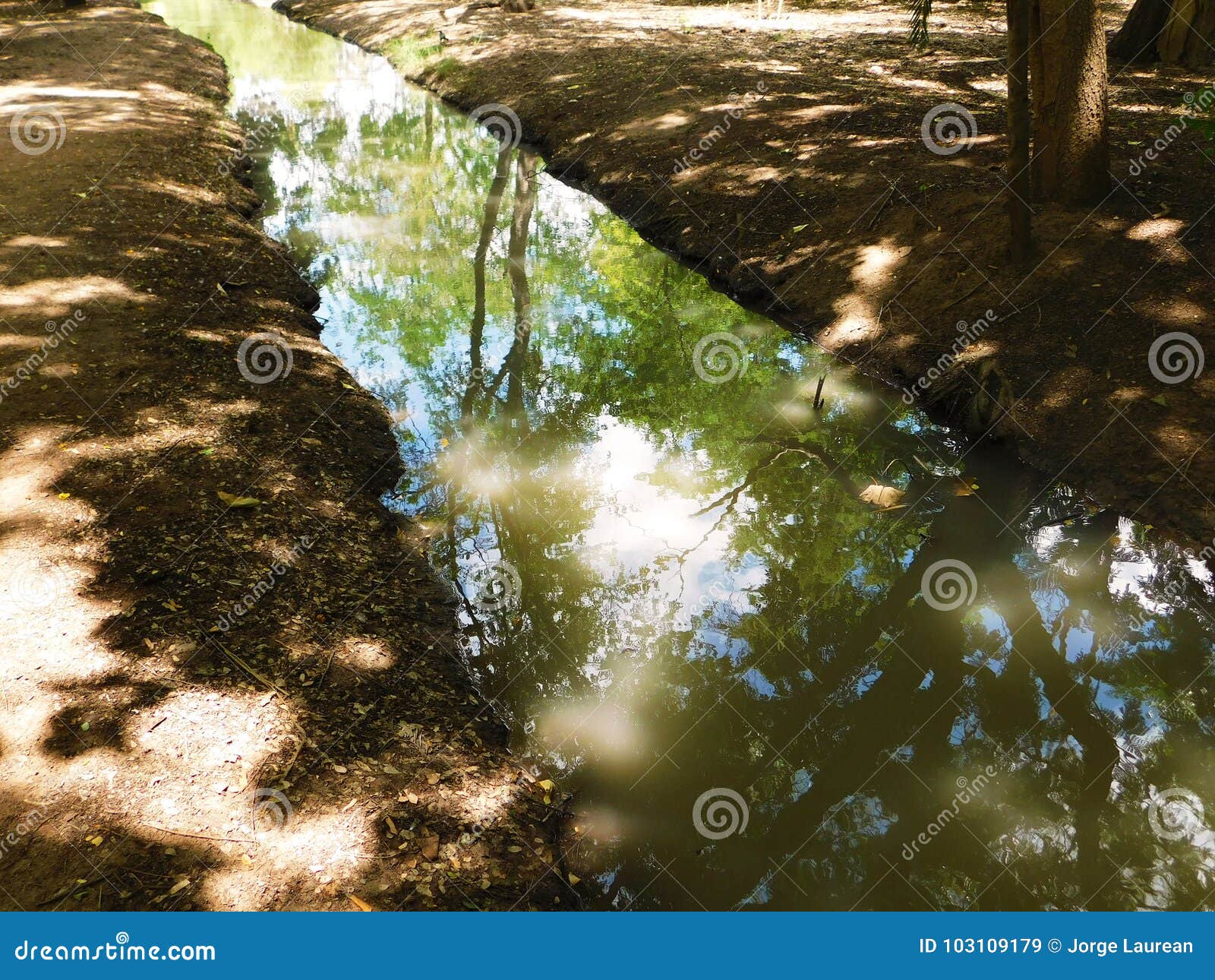 Park stream stock image. Image of stream, tree, national - 103109179