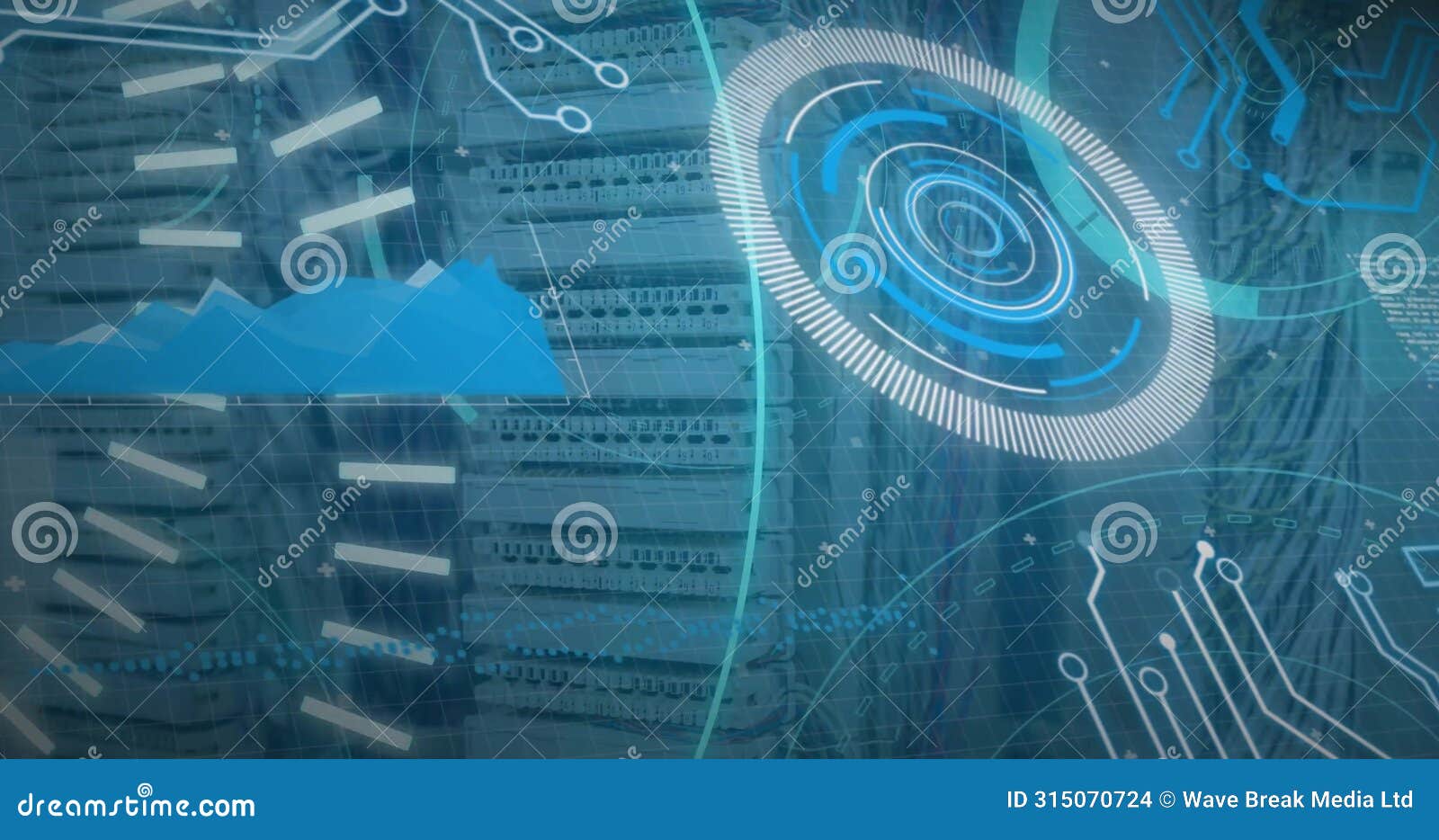 Image Of Loading Circles 5g Text Graph And Circuit Board Pattern Over Data Server Systems