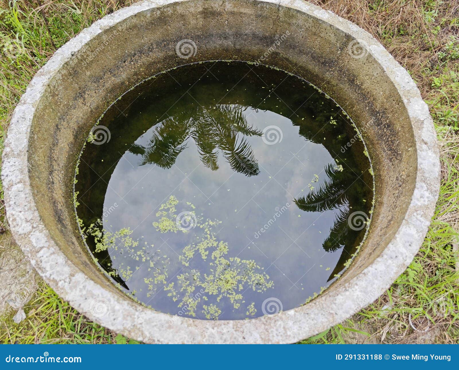 Looking Down on the Surface of Cylindrical Concrete Well. Stock Photo ...