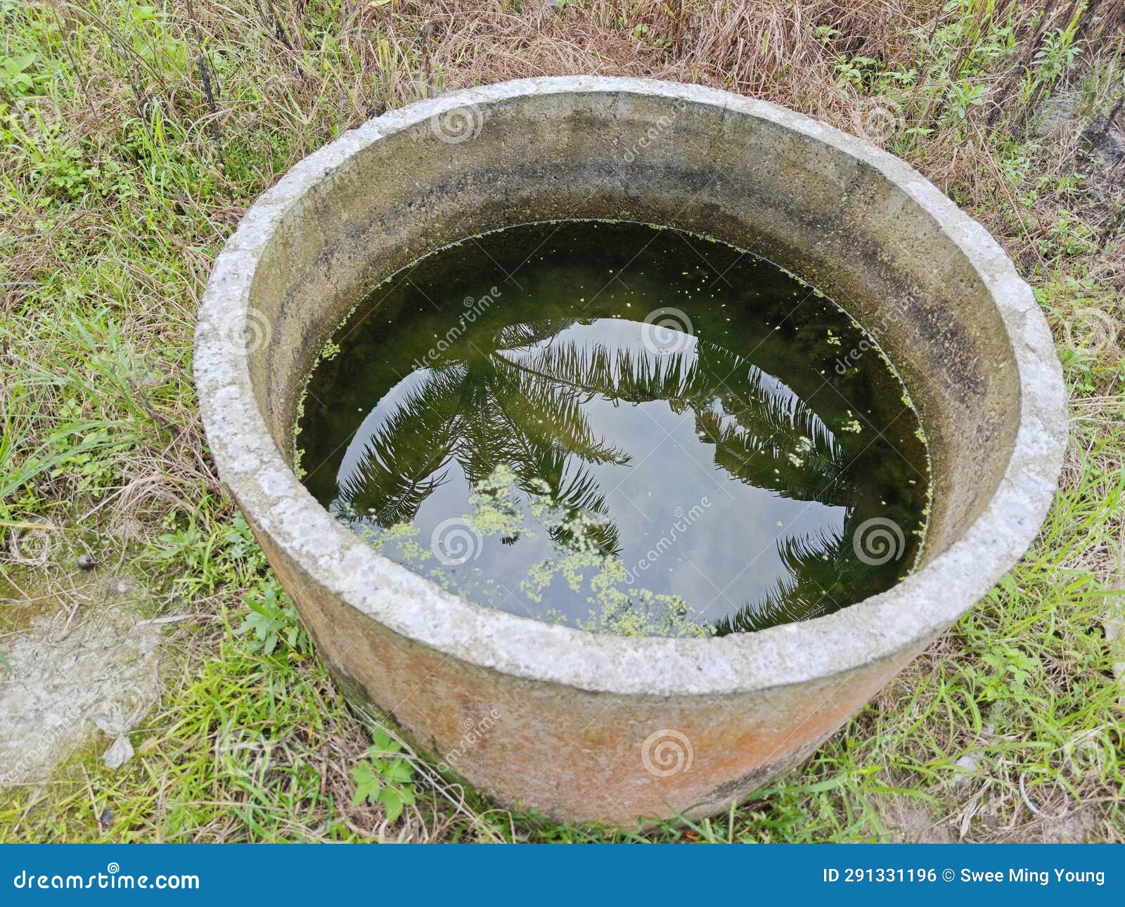 Looking Down on the Surface of Cylindrical Concrete Well. Stock Photo ...