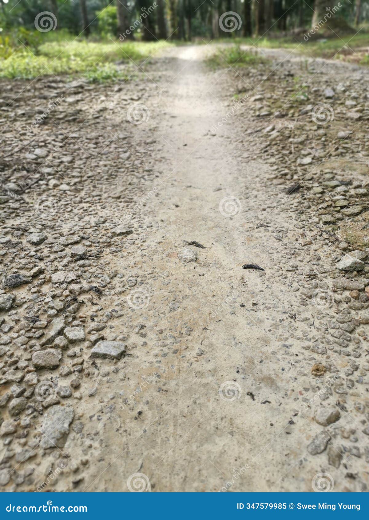 Looking on the the Surface Ground of Rural Gravel Road Texture. Stock ...