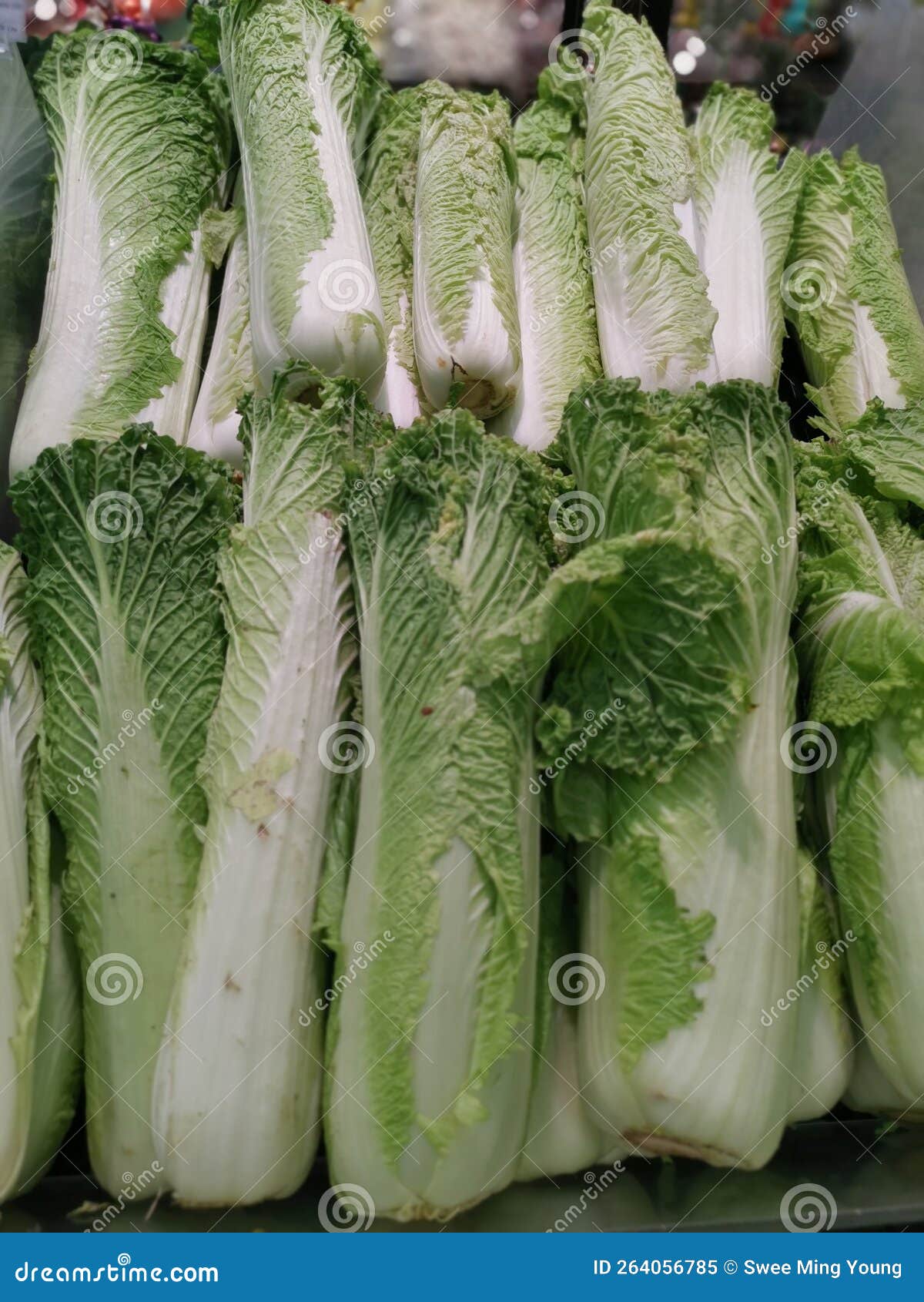 Lots of the China Long Cabbage Stock Image - Image of brassica, diet ...