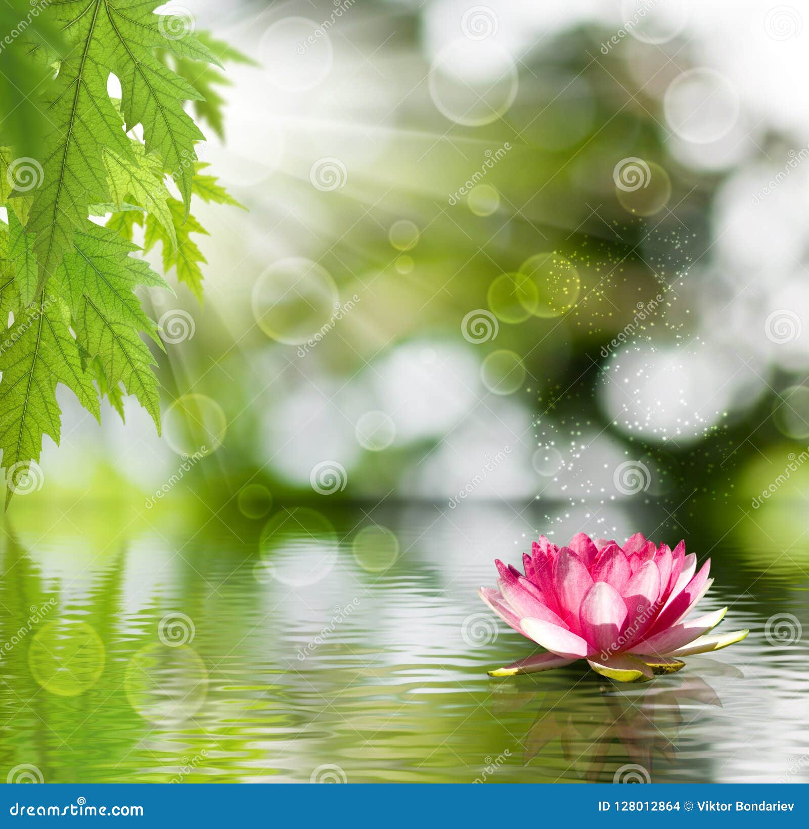 Image of Lotus on the Water Close-up Stock Illustration - Illustration ...